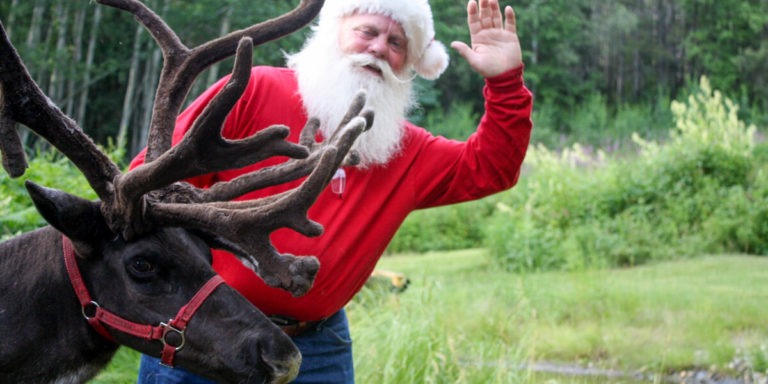 Are Reindeer Real? (And Answers to Other Myths) | Running Reindeer Ranch
