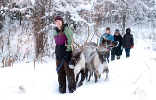 Reindeer Walks and Visits | Running Reindeer Ranch
