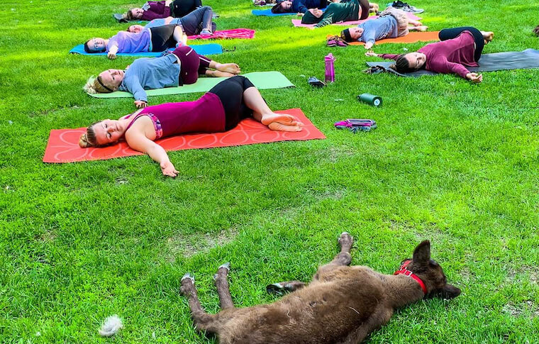 Fly and Flow Reindeer Yoga | Running Reindeer Ranch