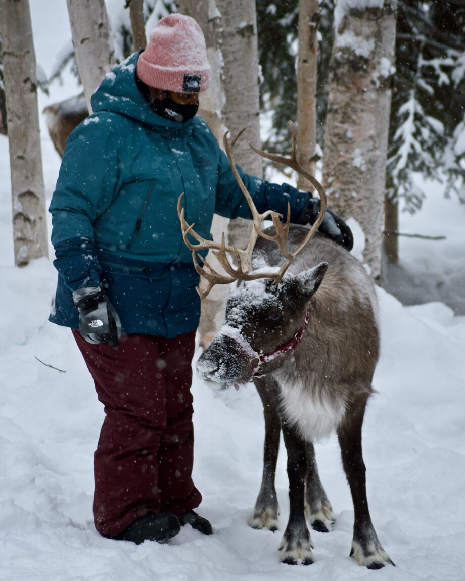 Reindeer Walks, Tours, and Visits | Running Reindeer Ranch