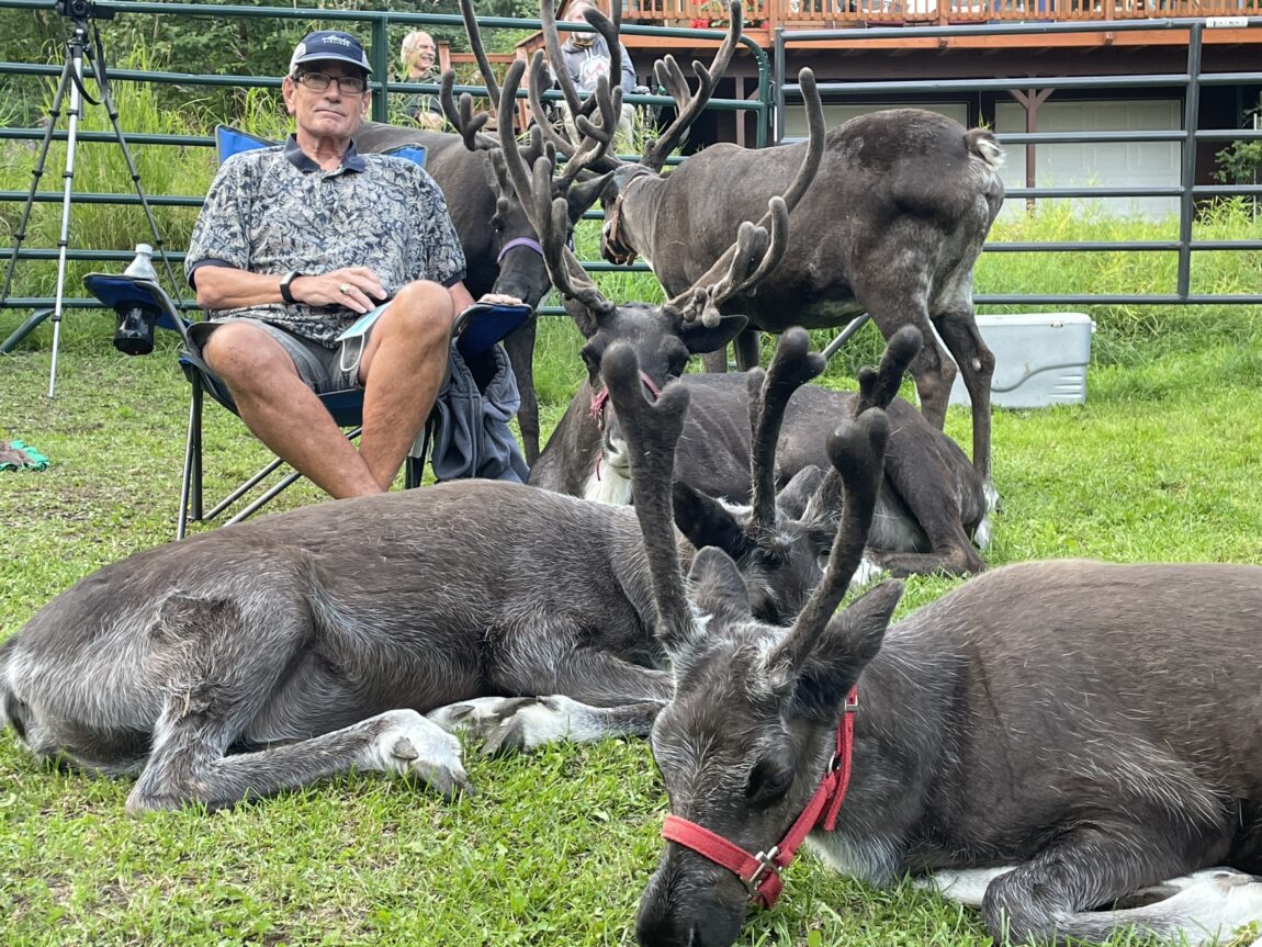 Reindeer Walks, Tours, and Visits | Running Reindeer Ranch